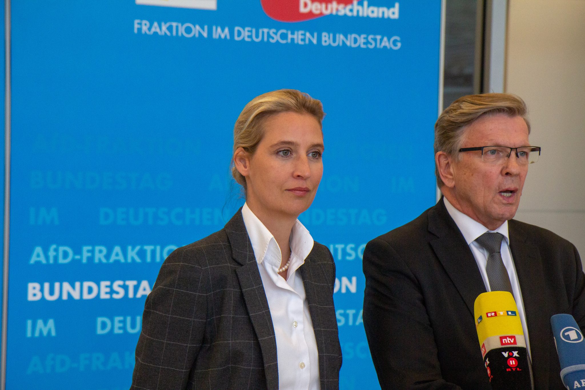 German Think Tank Calls for Ban on Populist-Conservative AfD Party