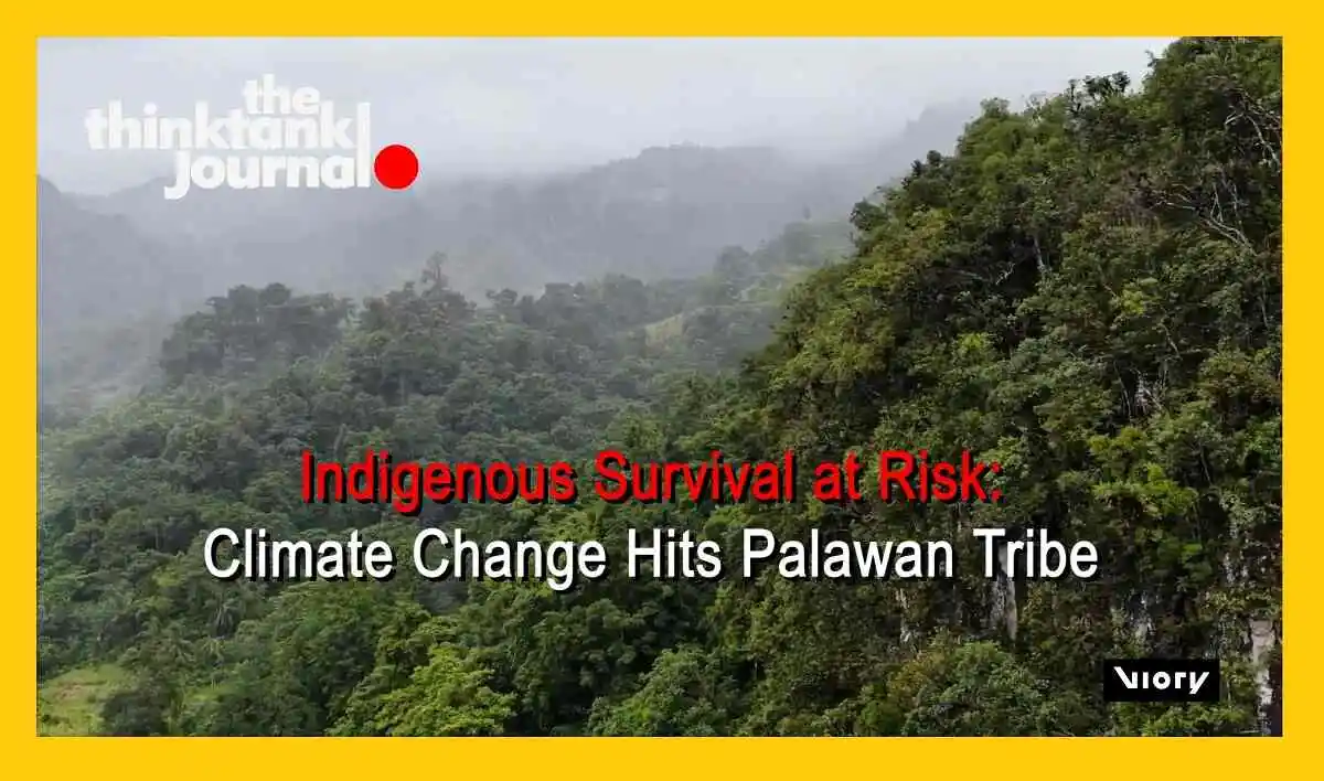 Indigenous Survival at Risk | Climate Change Hits Palawan Tribe -THINK ...